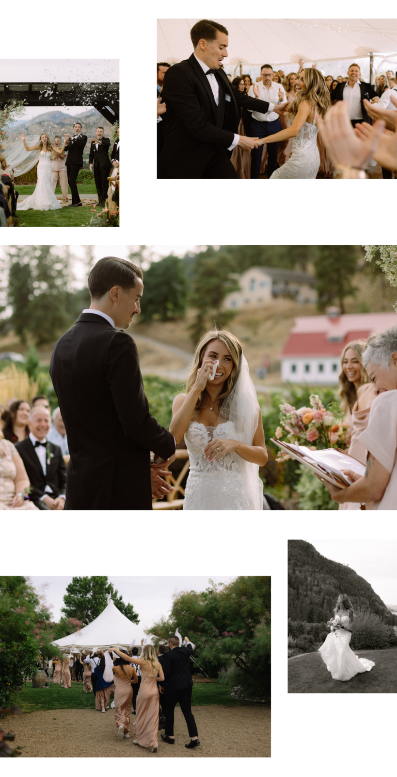 The Okanagan's 9 Best Winery Wedding Venues - danikacamba.ca